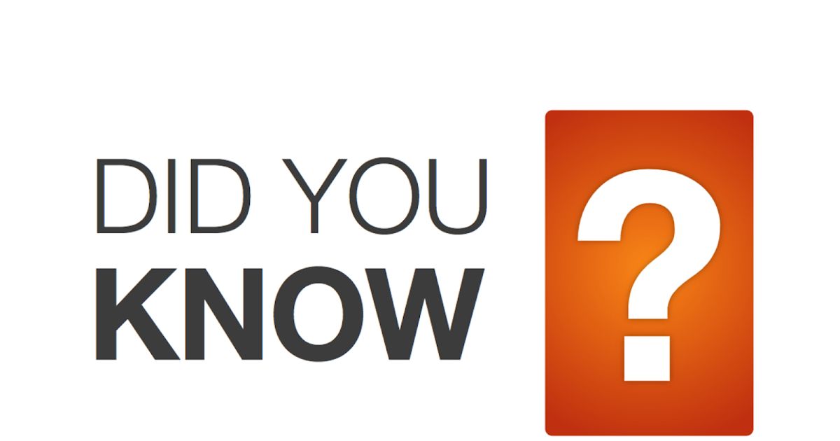 Reddit’s Ultimate Guide to Levidia.ch — What You MUST Know! - Levidia